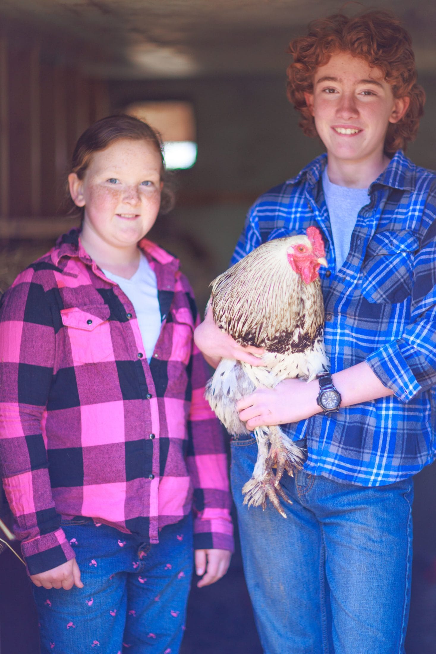Evermore Farm~ ANNABELLE & MICHAEL’s EGGS & MILK | Local Hens
